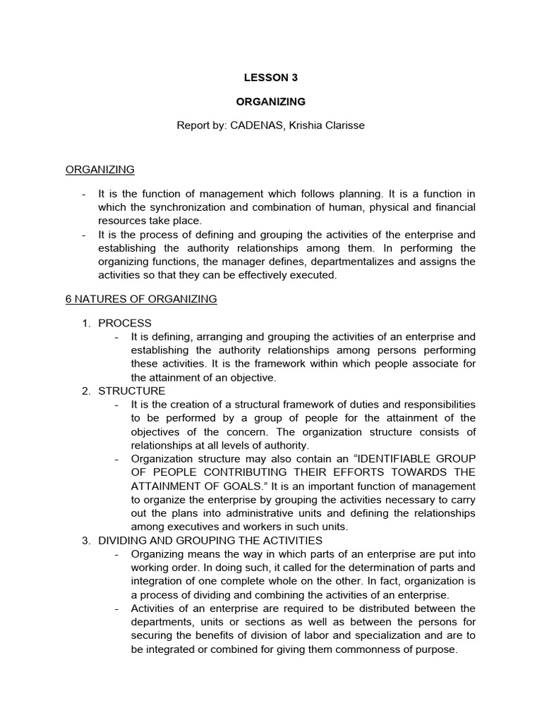 Organizing in An Organization | PDF | Business
