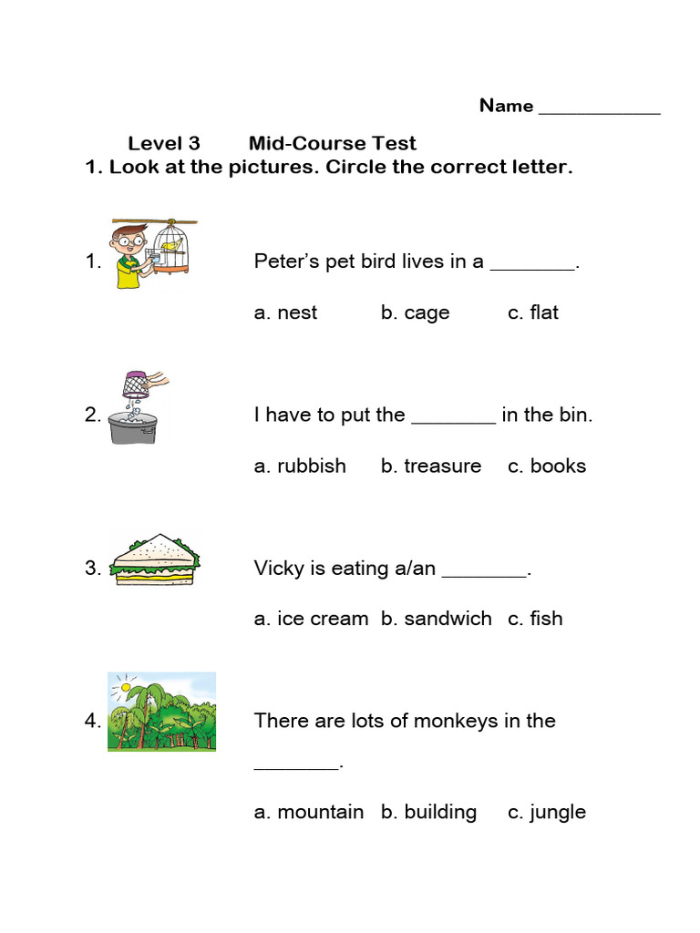 TOWE - Level 3 - Mid-Course Test | PDF