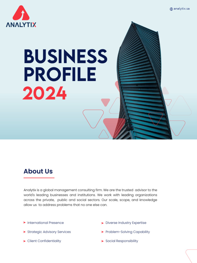 Analytix Business Profile 2024 | PDF | Audit | Accounting