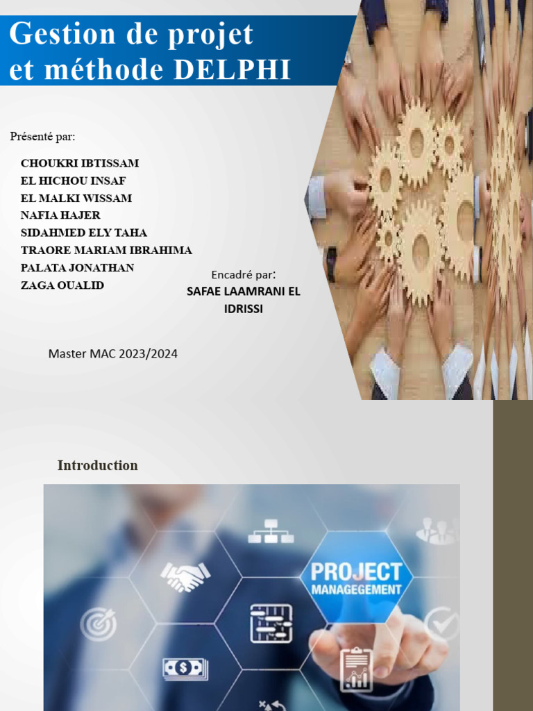 Gestion de Projet Et Méthode DELPHI VF | PDF | Gestion de projet | Business Gestion de Projet Et Méthode DELPHI VF | PDF | Gestion de projet | Business