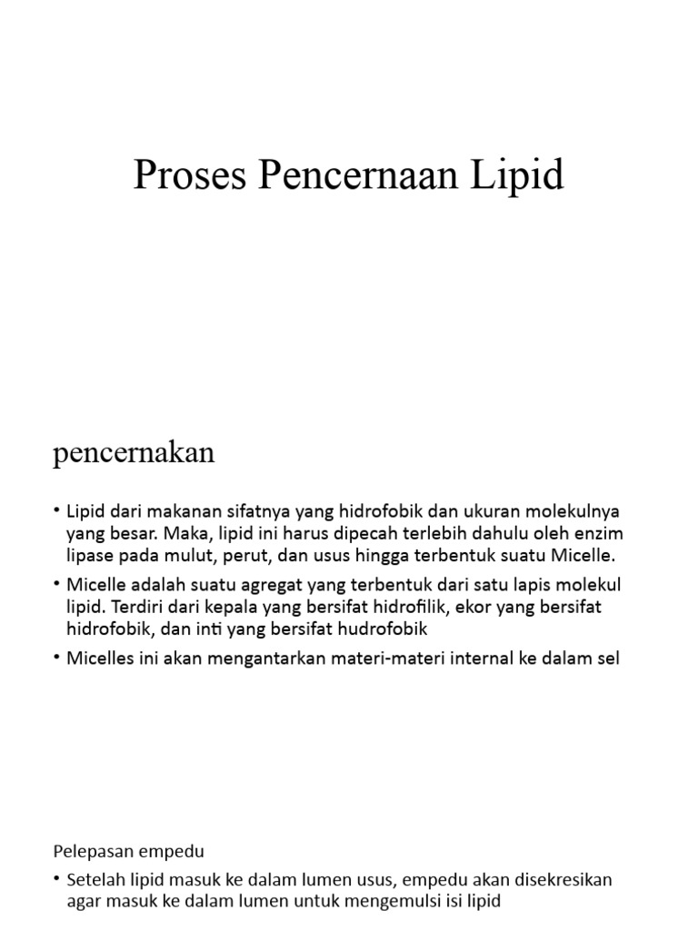 Proses Pencernakan Lipid | PDF