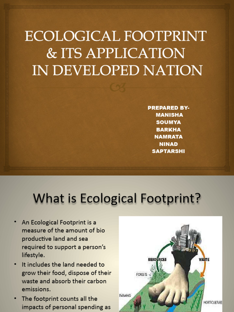 Ecological Footprint | PDF | Natural Environment | Economy And The ...