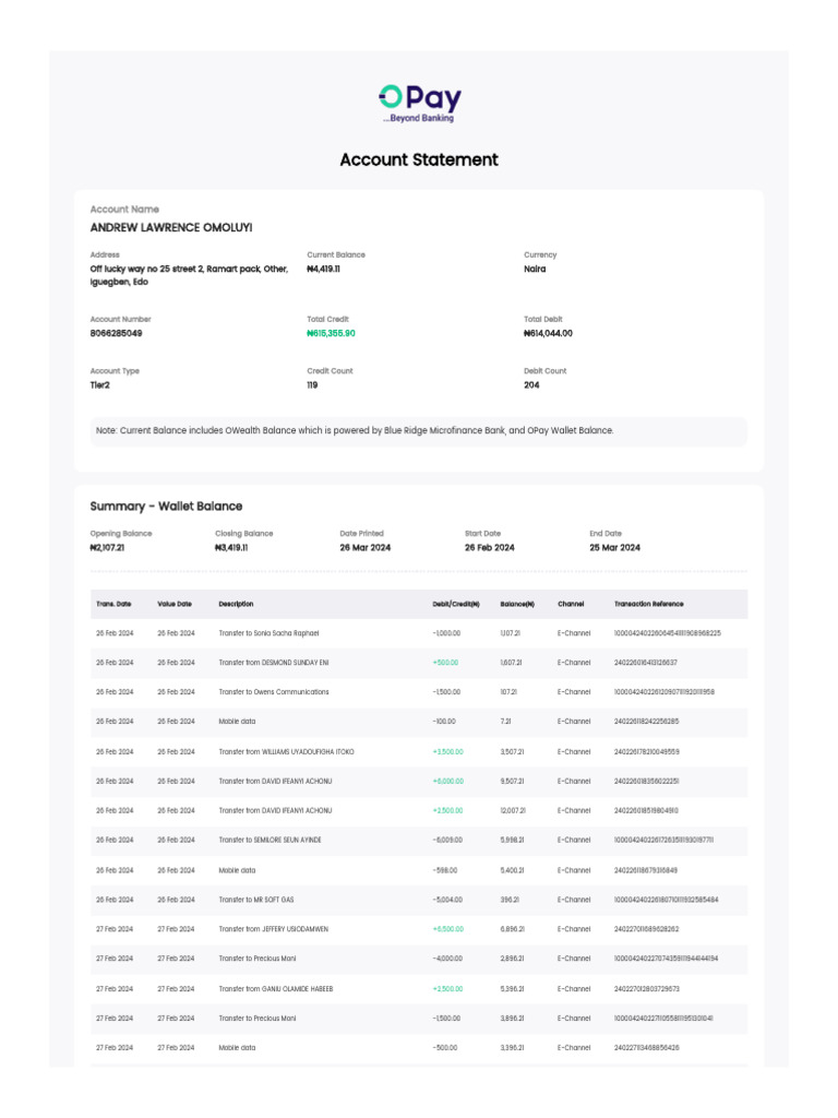 Account Statement Summary for Andrew Omoluyi | PDF | Debits And Credits ...