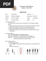 Human Skeleton: Unlabeled | PDF