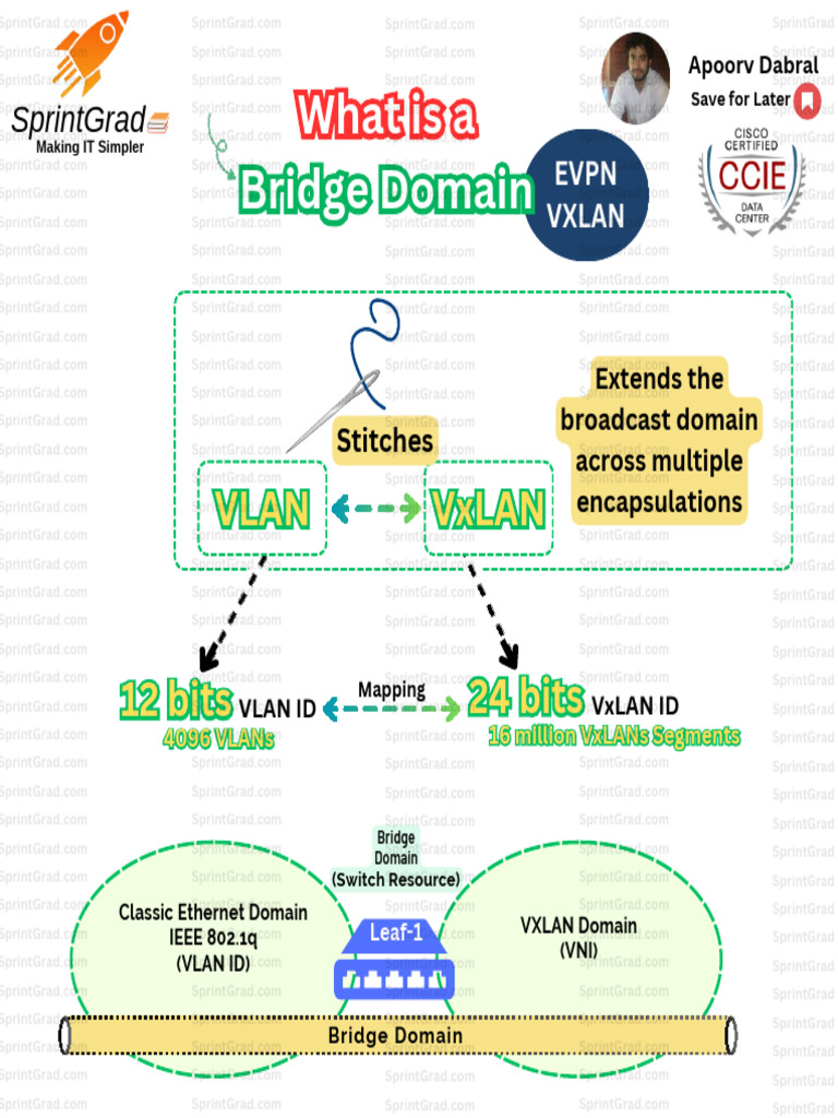Bridge Domain | PDF | Telecommunications Standards | Computer Standards