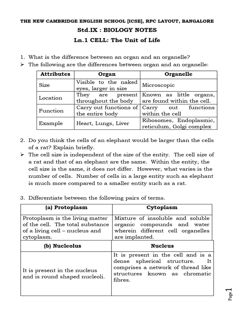 Ln.1 Cell - Notes | PDF | Cell (Biology) | Cytoplasm