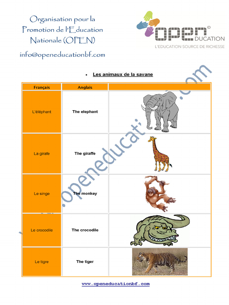 C - ANG@6e - Les Animaux de La Savane | PDF