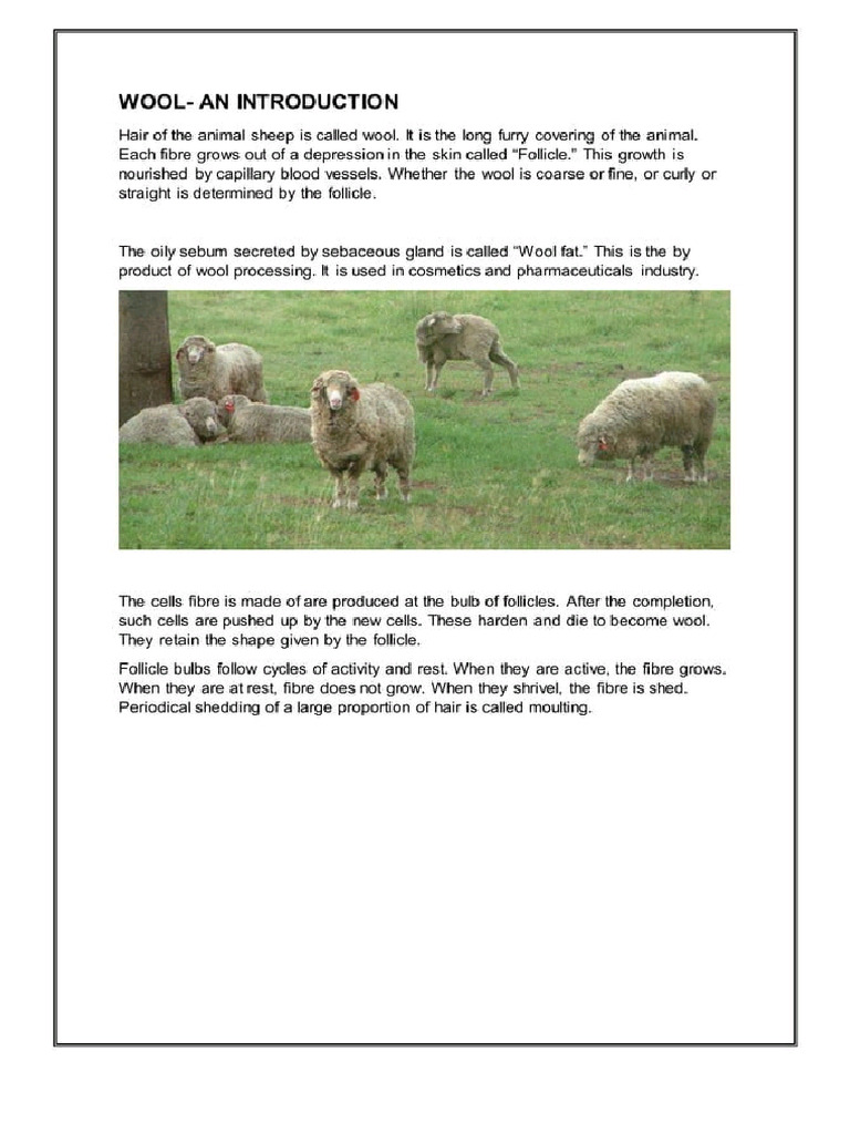 Wool PDF | PDF