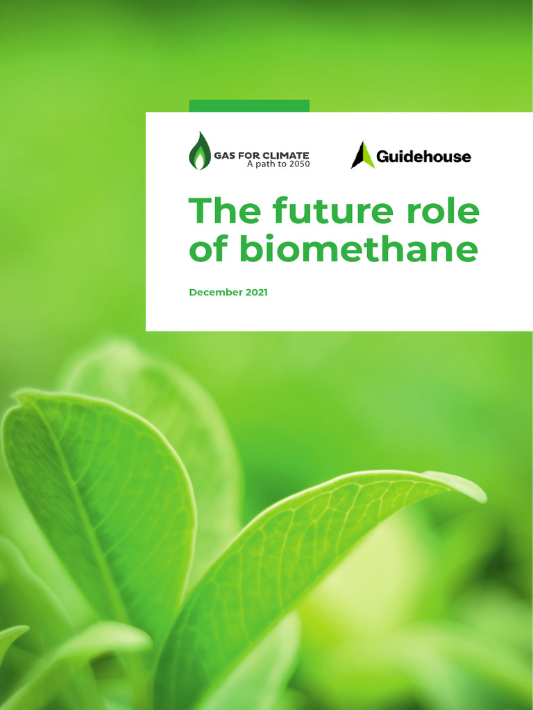 The Future Role of Biomethane | PDF | Biogas | Anaerobic Digestion