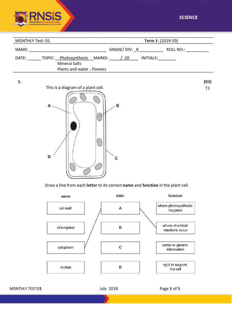 MT1 Grade 8 Science | PDF | Pollination | Flowers