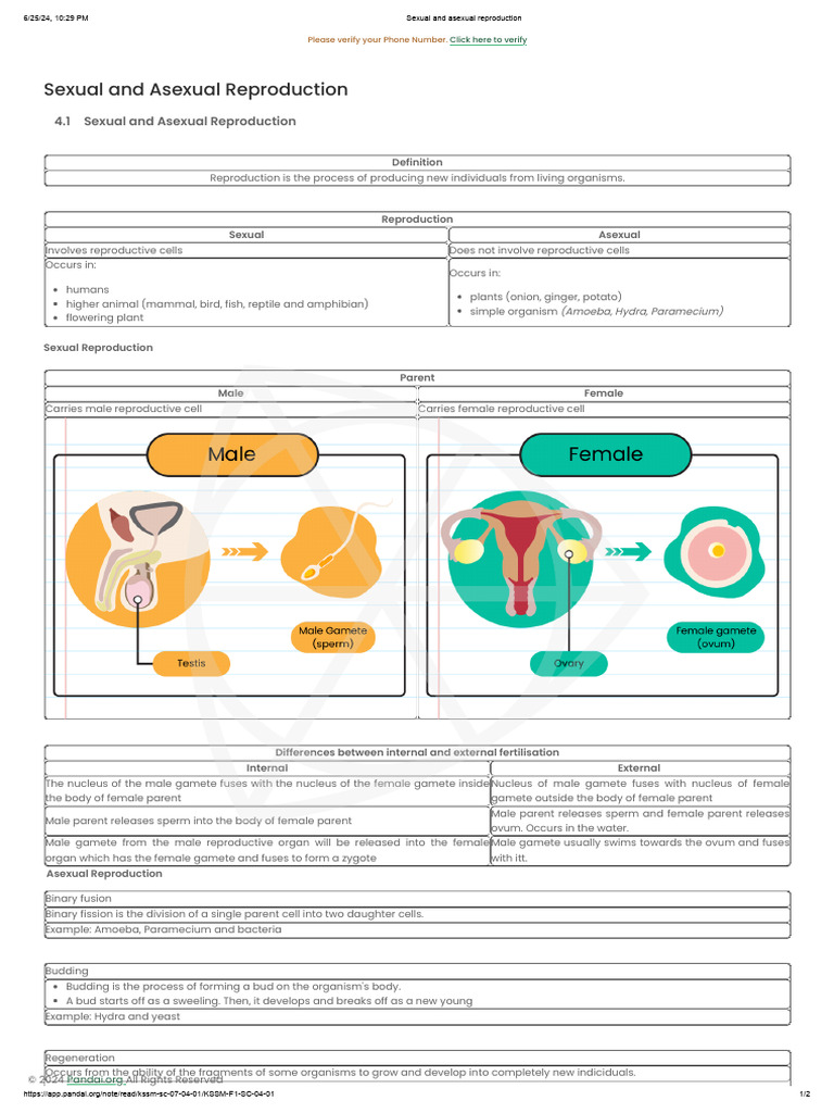 Sexual and Asexual Reproduction | PDF | Sexual Reproduction | Sperm