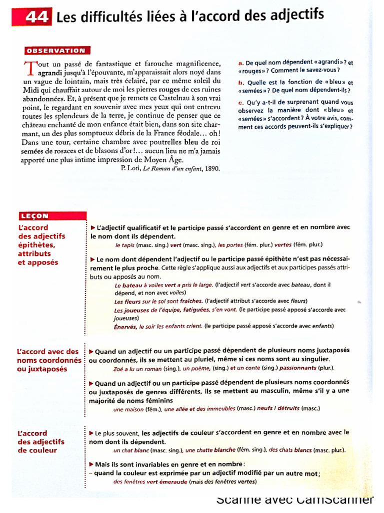 Accord Adjectifs | PDF