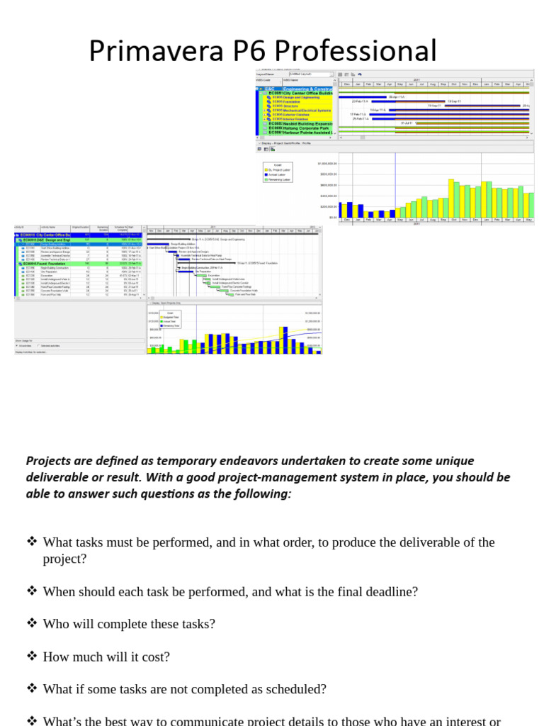 Primavera P6 Professional | PDF | Project Management | Business
