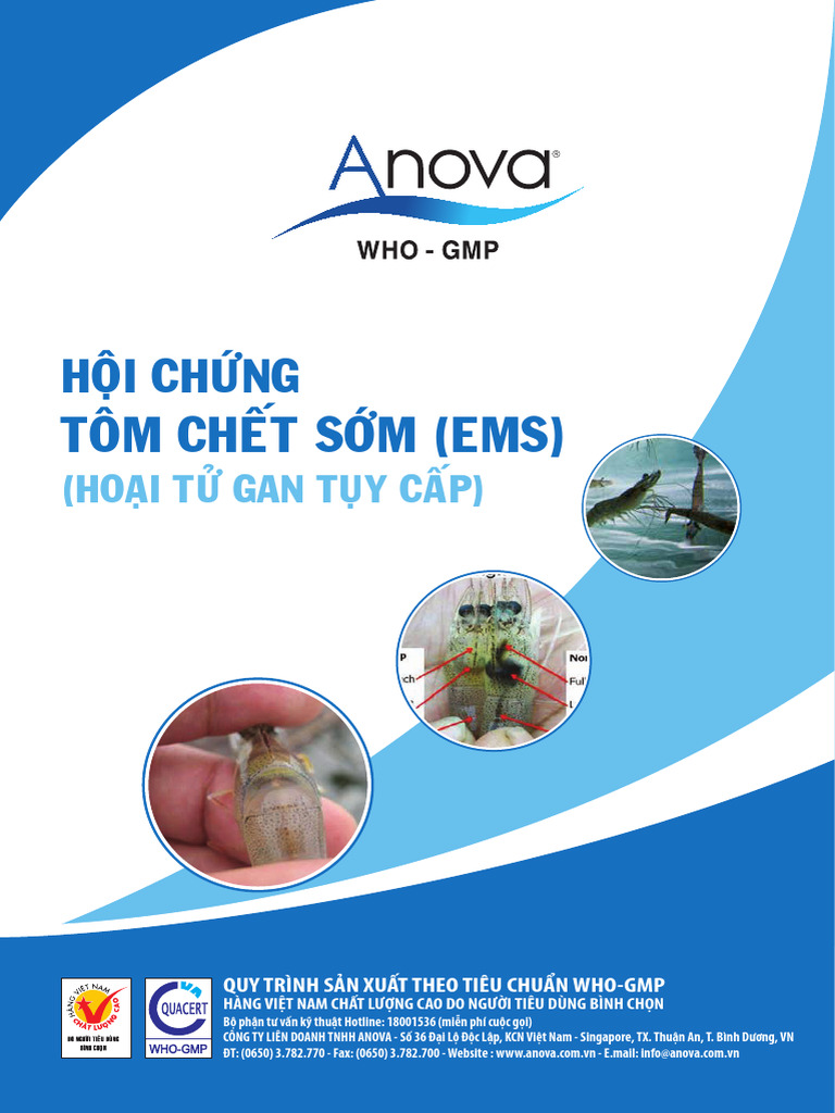 Hoi Chung Tom Chet Som (EMS) (Hoai Tu Gan Tuy Cap) | PDF