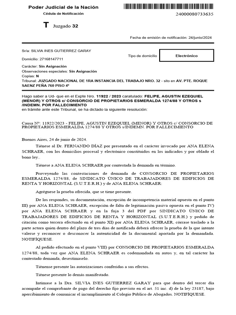 FELIPE, AGUSTIN EZEQUIEL (MENOR) Y OTROS c- CONSORCIO 24-06-2024 ...