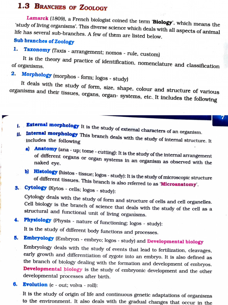 Branches of Zoology | PDF