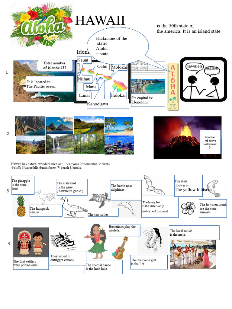 CE - Hawaii - Identity Card | PDF | Hawaii