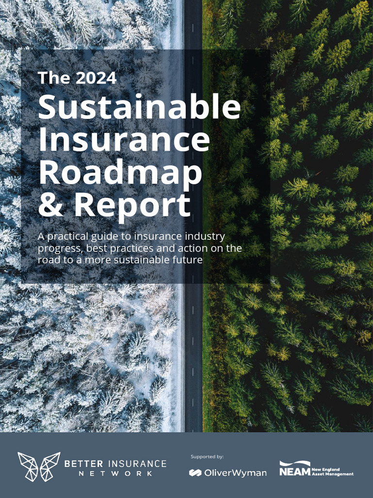 2024 Sustainable Insurance Roadmap and Report | PDF | Sustainability ...