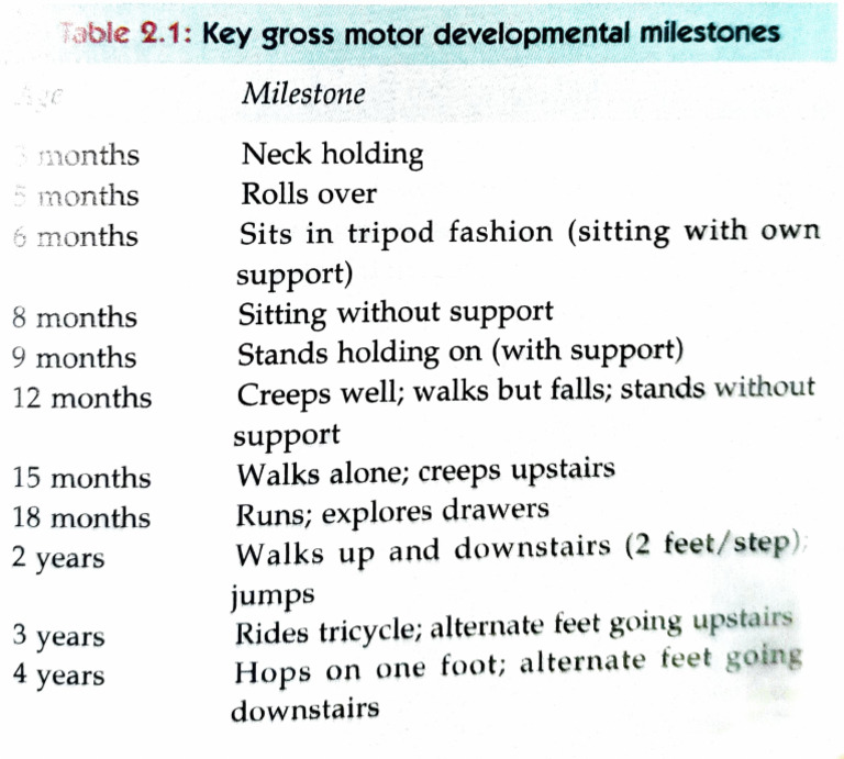 Gross Motor Milestones by Age | PDF