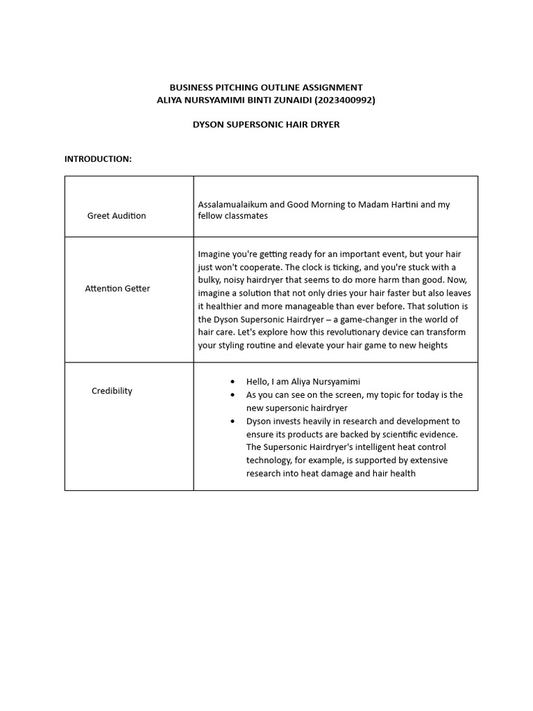 Business Pitching Outline Assignment | PDF | Hair