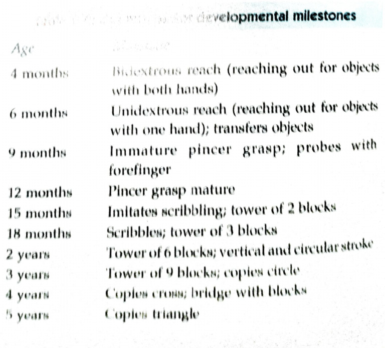 Early Childhood Milestones Guide | PDF