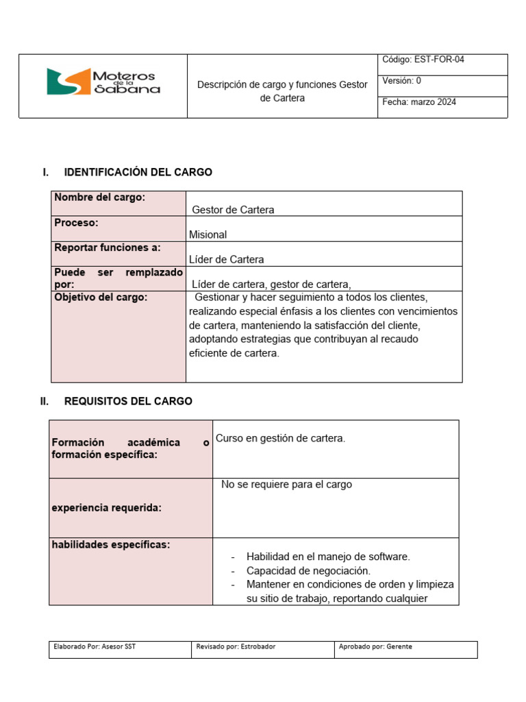 Descripción de Cargo y Funciones Getos de Cartera | PDF | Business