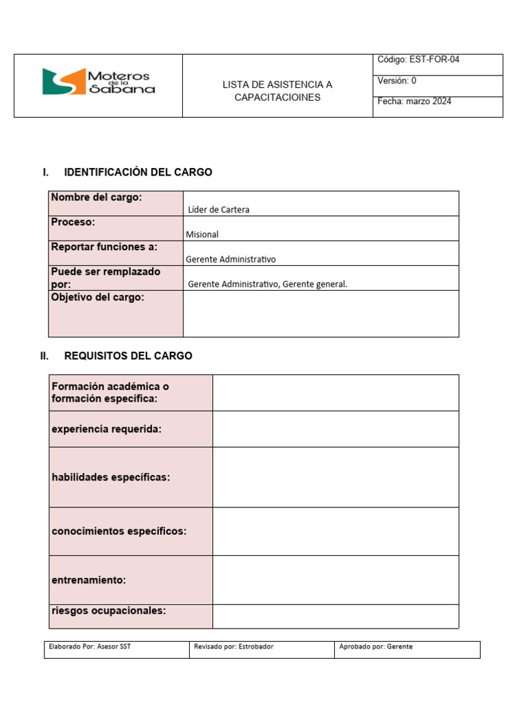 Descripción de Cargo y Funciones Líder de Cartera | PDF | Business