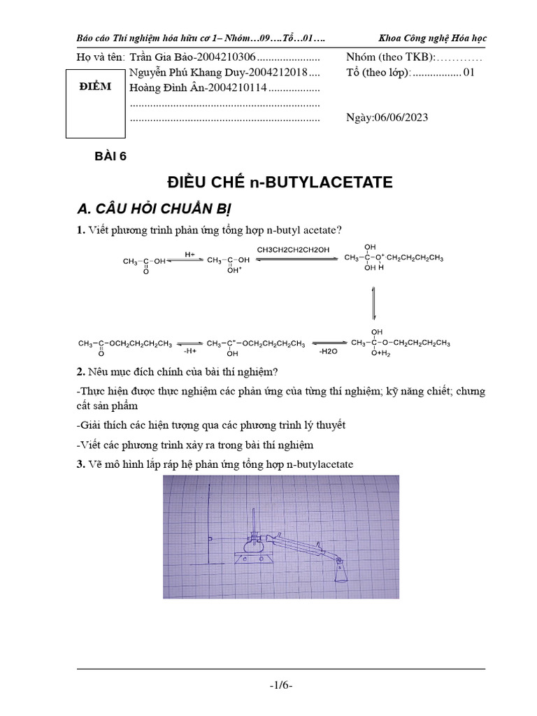 Báo Cáo TN HHC-bai 6-2023 | PDF