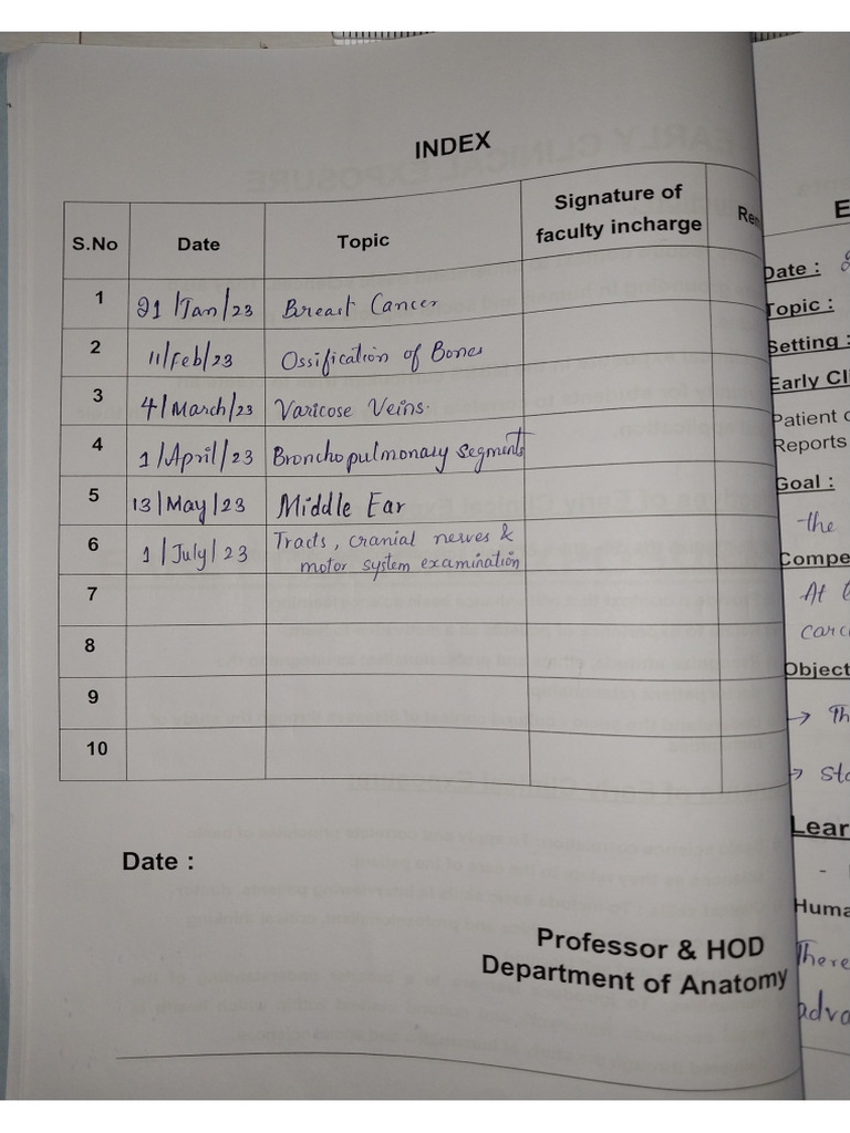Anatomy Log Book Ece | PDF