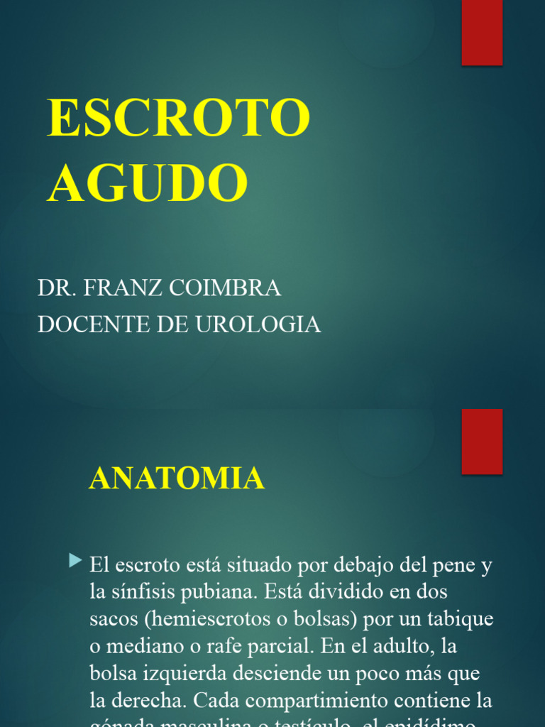 Escroto Agudo: Diagnóstico y Tratamiento | PDF | Testículo ...