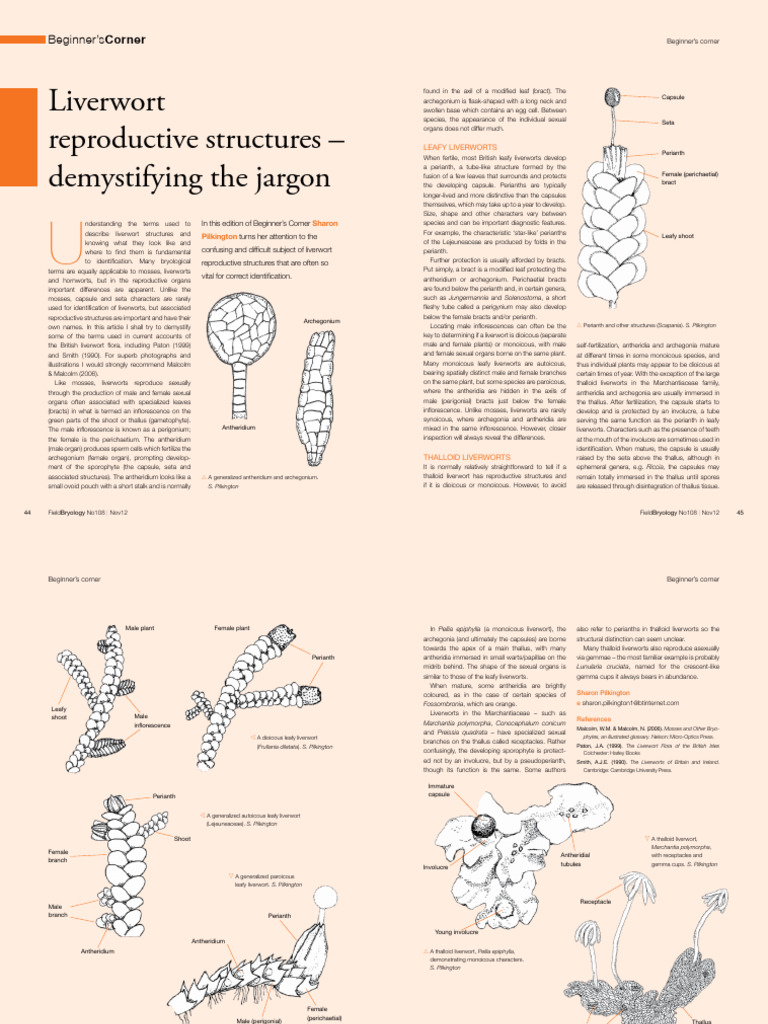 BBS FB108 Beginners Corner | PDF | Plants | Botany