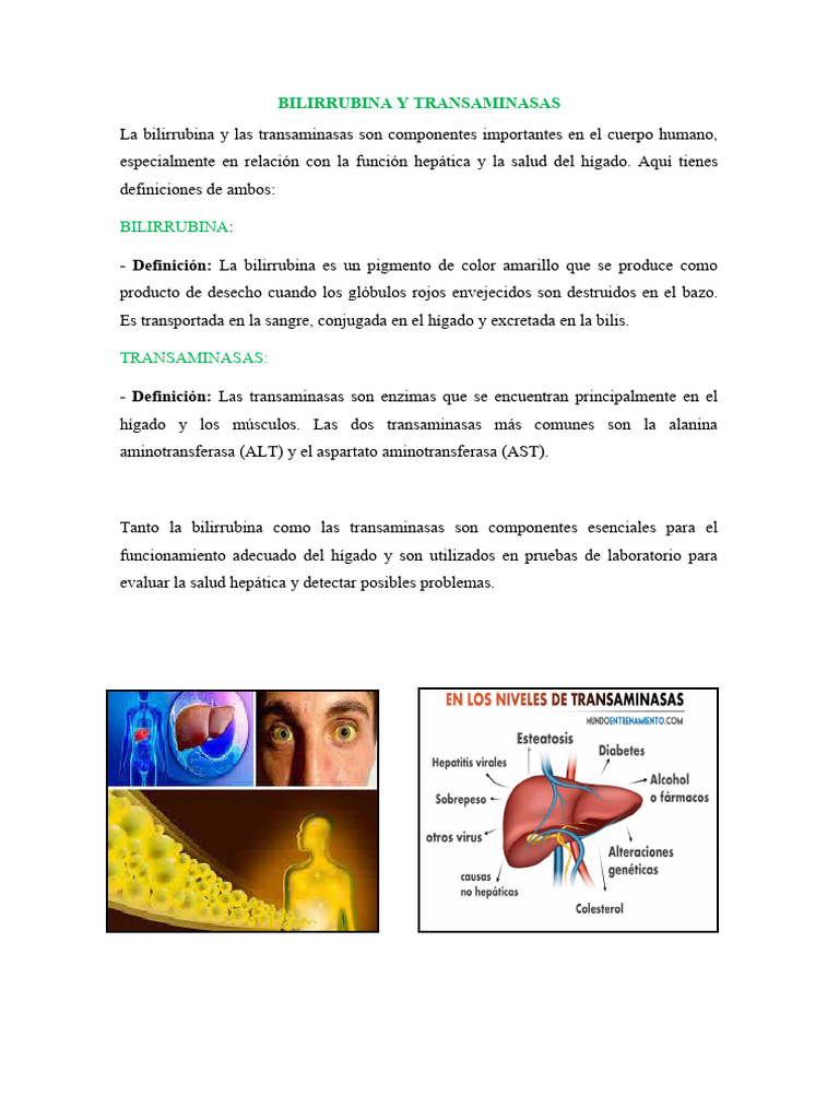 BILIRRUBINA Y TRANSAMINASAS | PDF | Transaminasa | Bilis