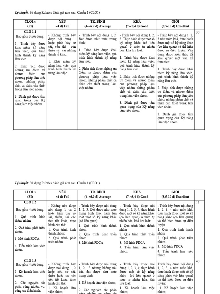 Rubric KNLVN Ly Thuyet | PDF
