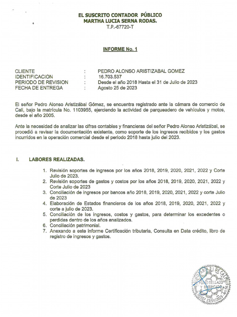 Informe Pericial | PDF