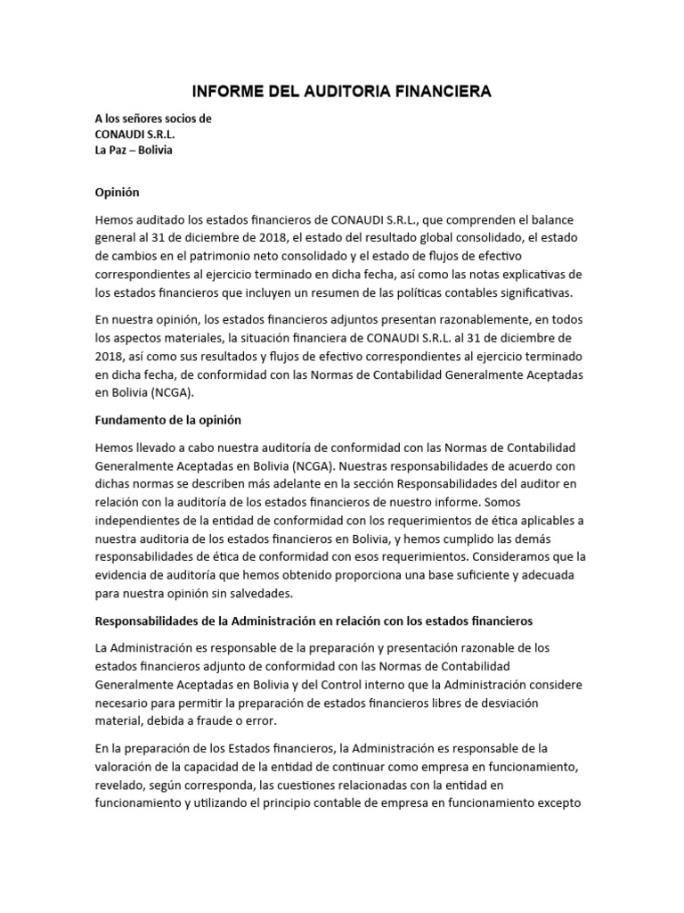 20 Informe de Auditoria Financiera | PDF | Auditoría | Estado financiero