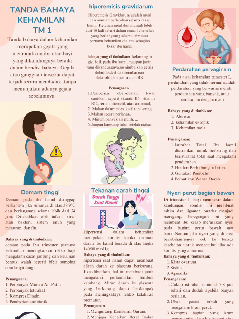 Leaflet Tanda Bahaya Kehamilan TM 1 | PDF