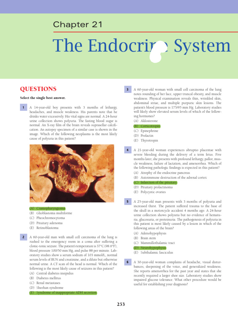 Endocrine Lippincott | PDF | Thyroid | Adrenal Gland