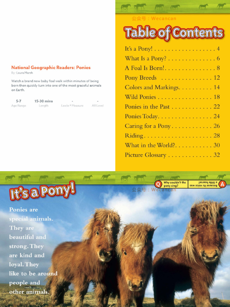 03 Ponies | PDF