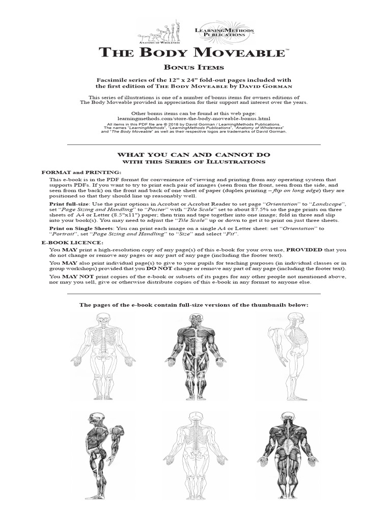 The Body Moveable Inserts Foldout Pages | PDF | Printing | Written Communication