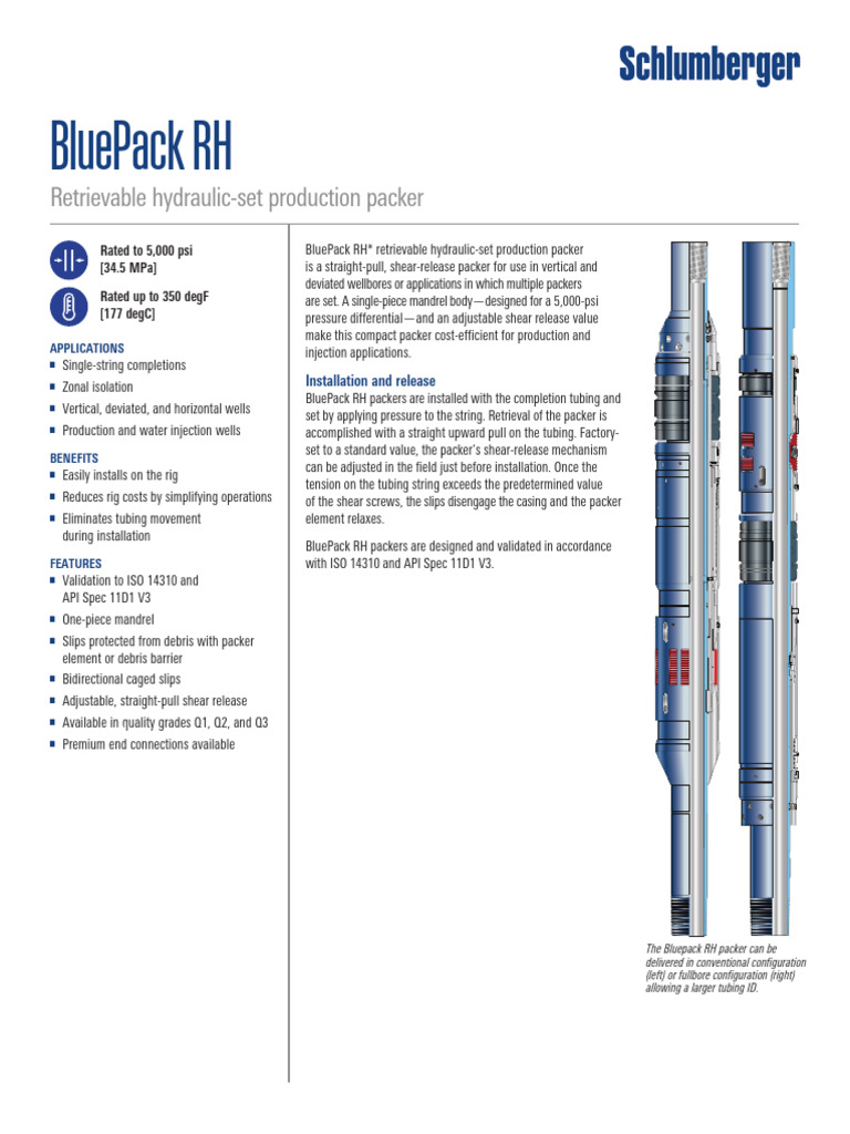 Bluepack RH Ps | PDF