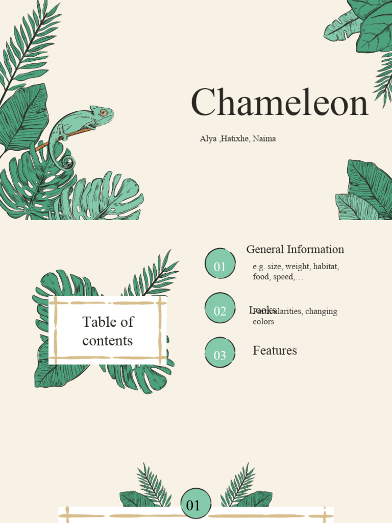 PPP Chameleon | PDF | Color | Zoology