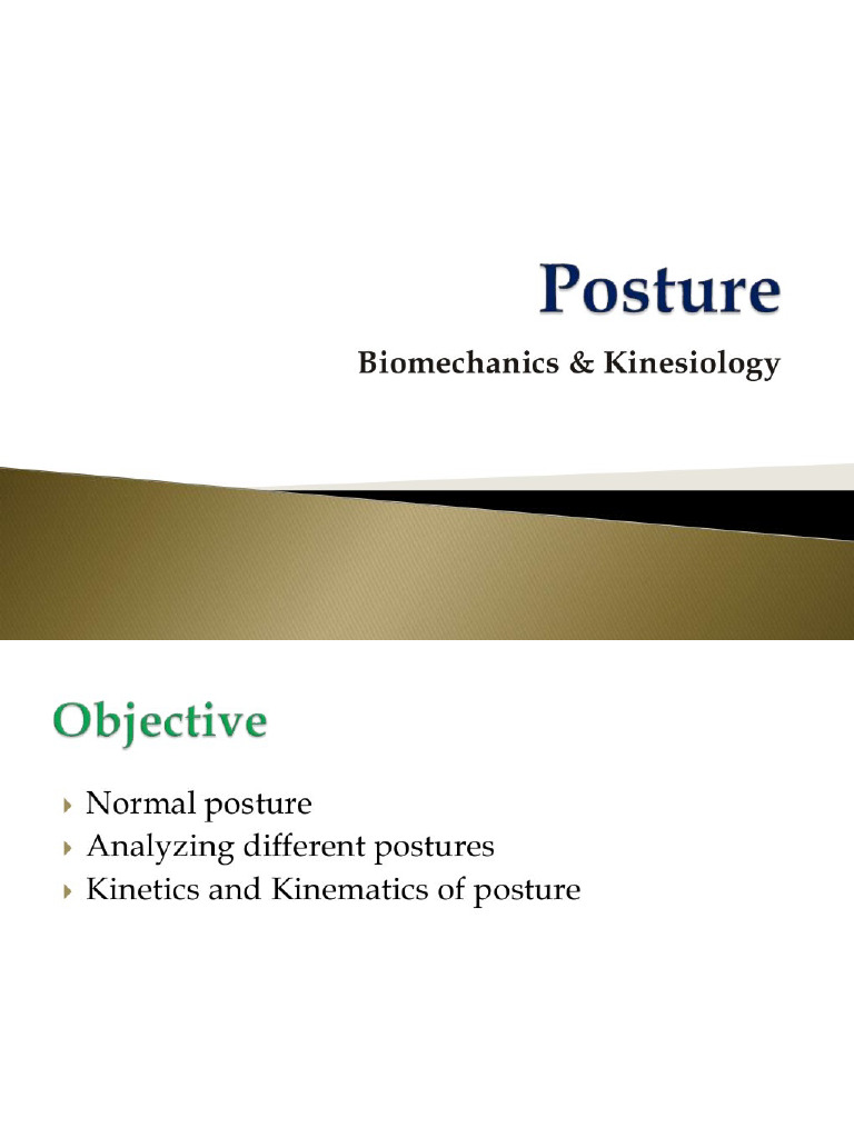 Motor Function Pdf