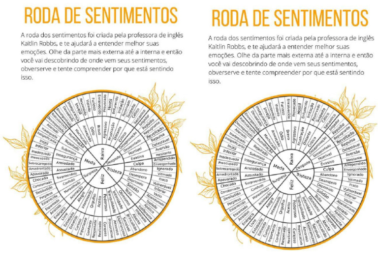 Roda Das Emoções | PDF