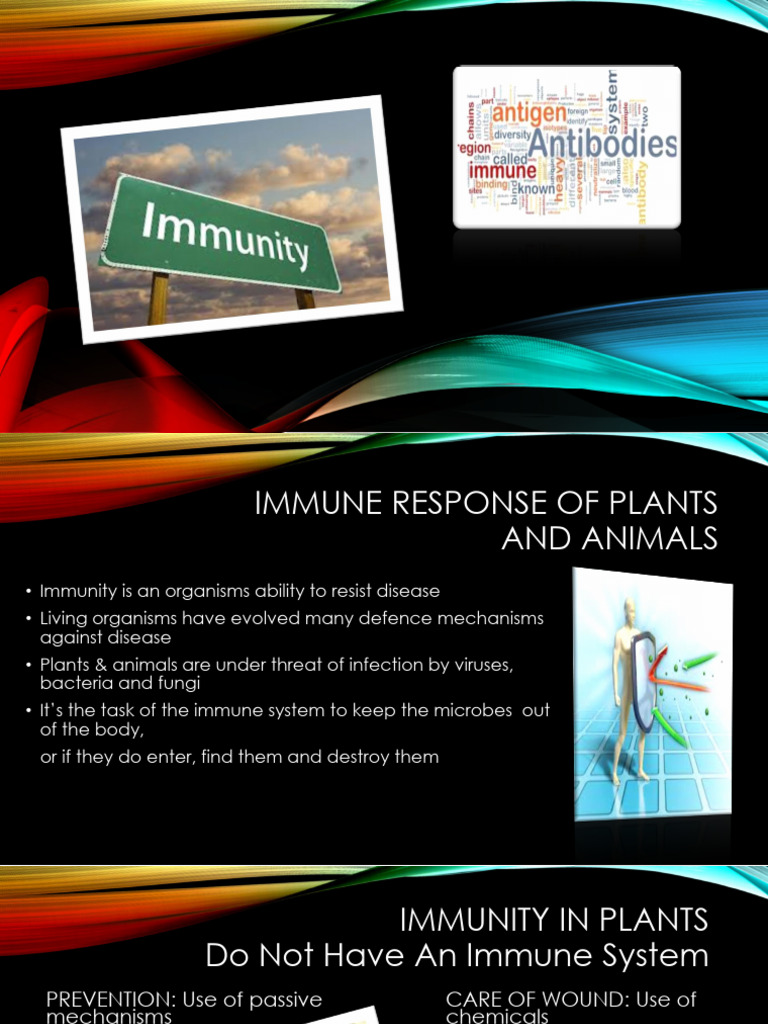 Plant and Animal Immune Responses | PDF | Immune System | Lymphocyte