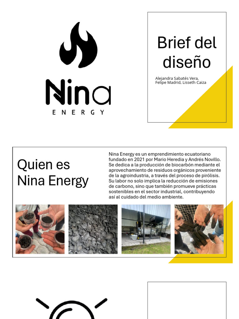 Estrategias de Marketing para Biochar | PDF | Marketing | Comportamiento