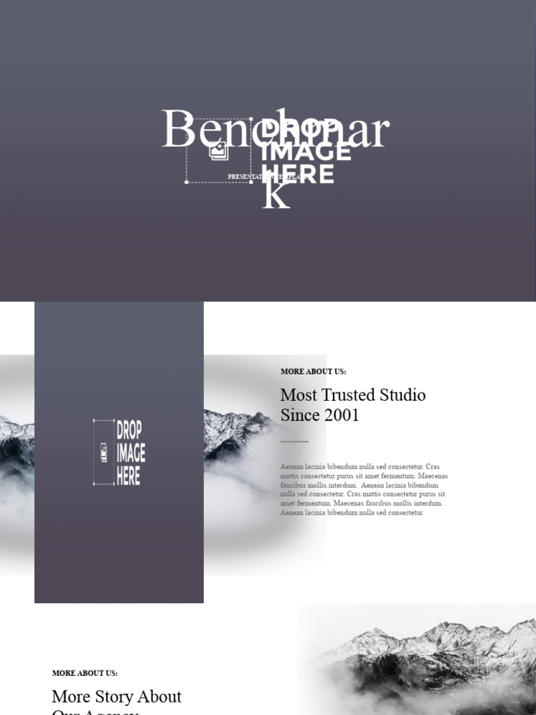 Benchmark | PDF | Business | Business Economics