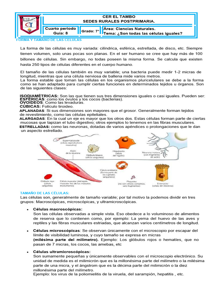 Ciencias Naturales 7 Guia 8 Cuarto Periodo 2021 | PDF | Biología ...