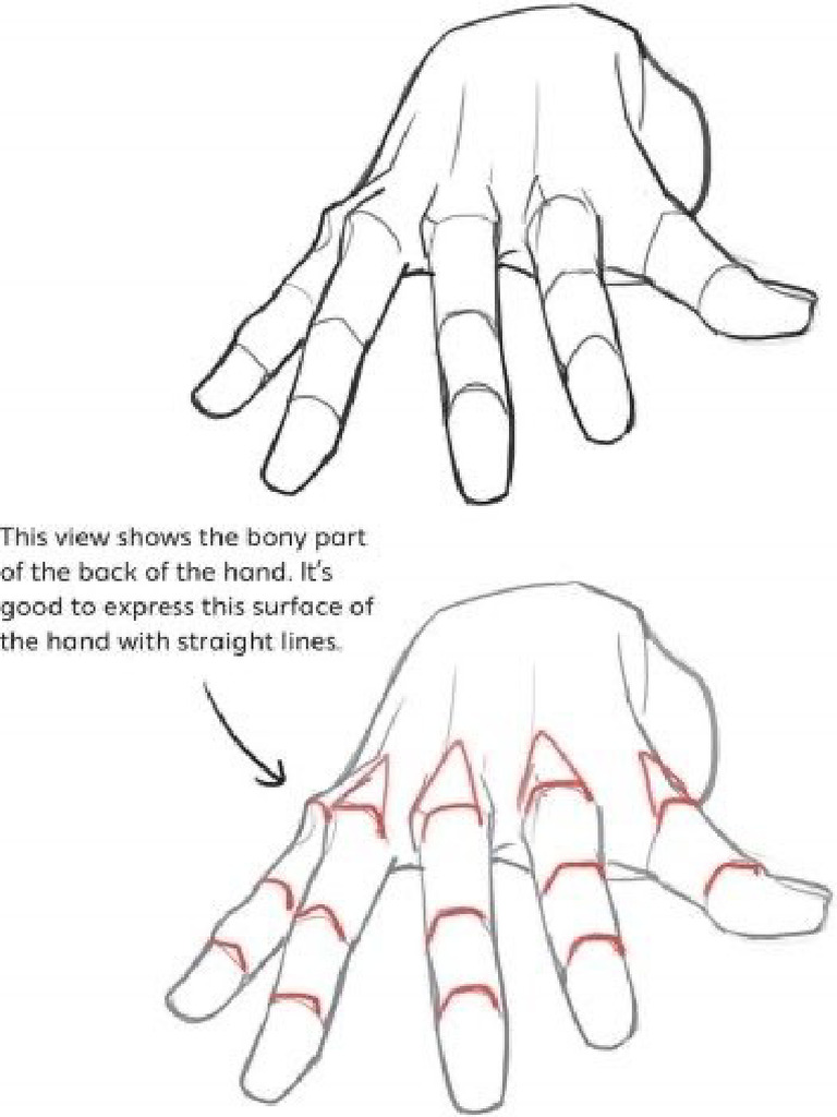 Gathered Human Anatomy Studies For Artists Pdf