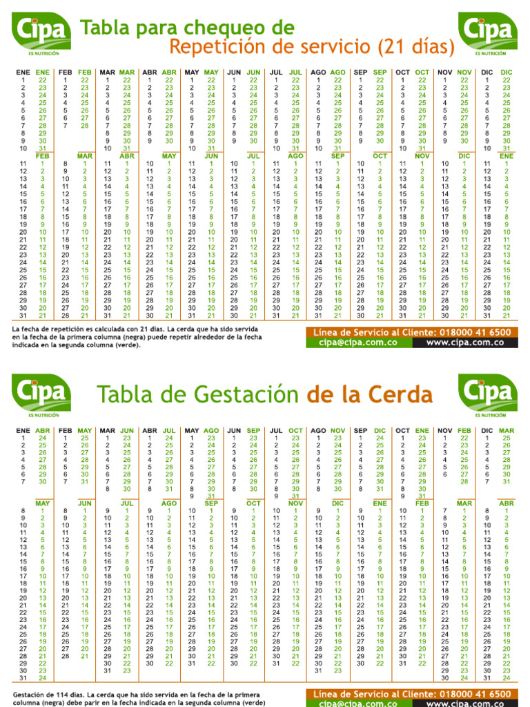 Tabla Gestacion Cerdas v2 | PDF