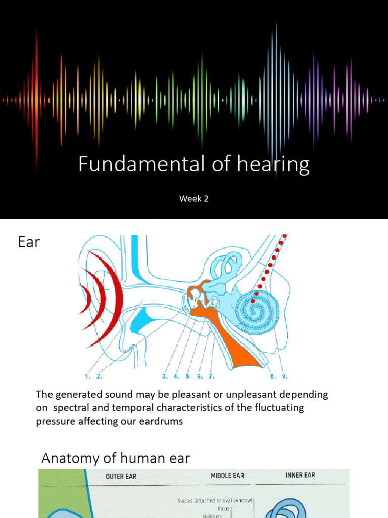 3 Hearing | PDF | Ear | Hearing